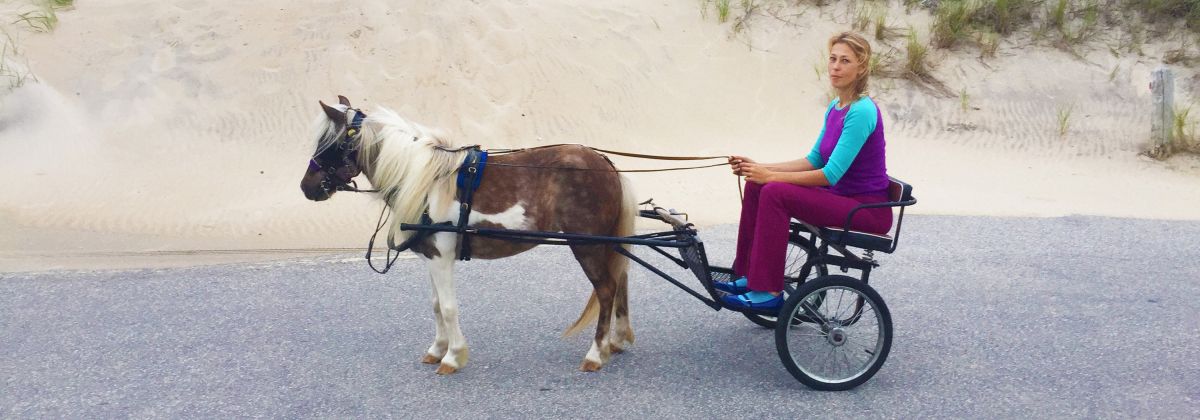 Lighthouse Horse Rides | Hatteras Island Things to Do